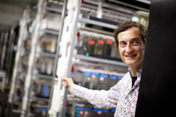 Zebrafish point the way — Harvard Gazette