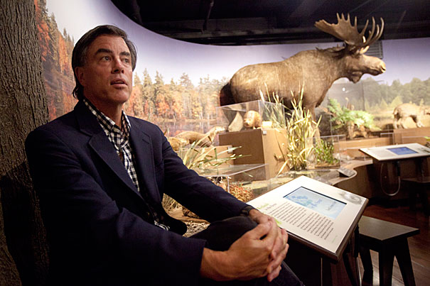 Guarding the forests — Harvard Gazette