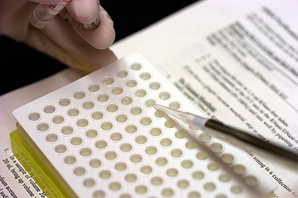 Mapping a genetic world beyond genes — Harvard Gazette