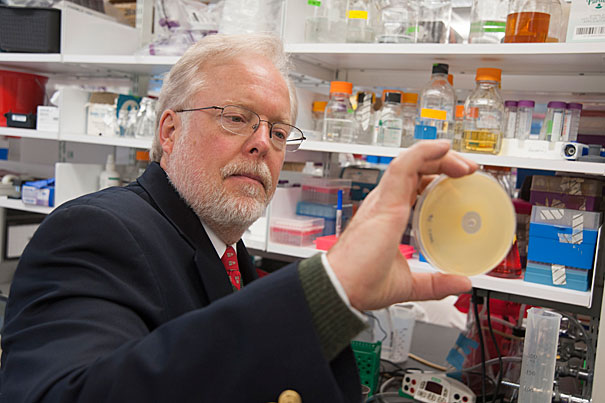 Battling a bacterial threat — Harvard Gazette