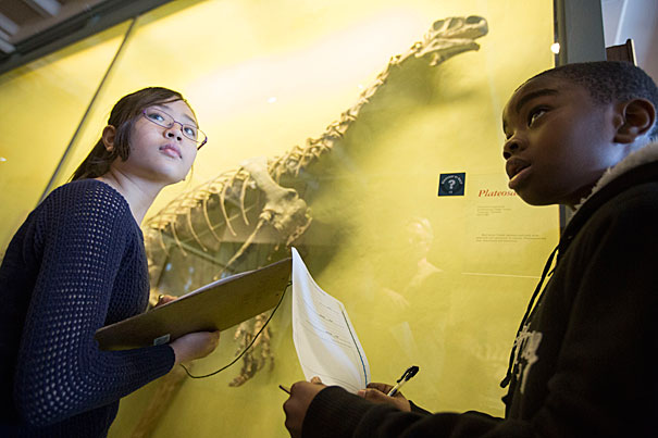 A museum as school lab — Harvard Gazette