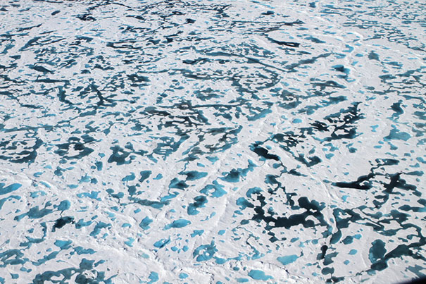 Harvard researchers help solve mystery of the Arctic’s green ice ...