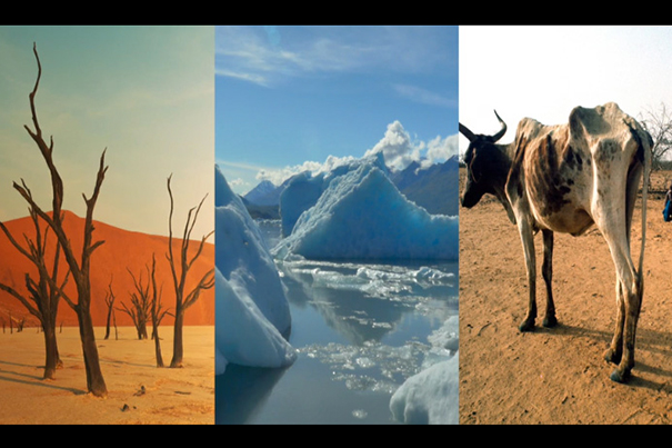 Harvard video project channels wide range of climate change knowledge ...