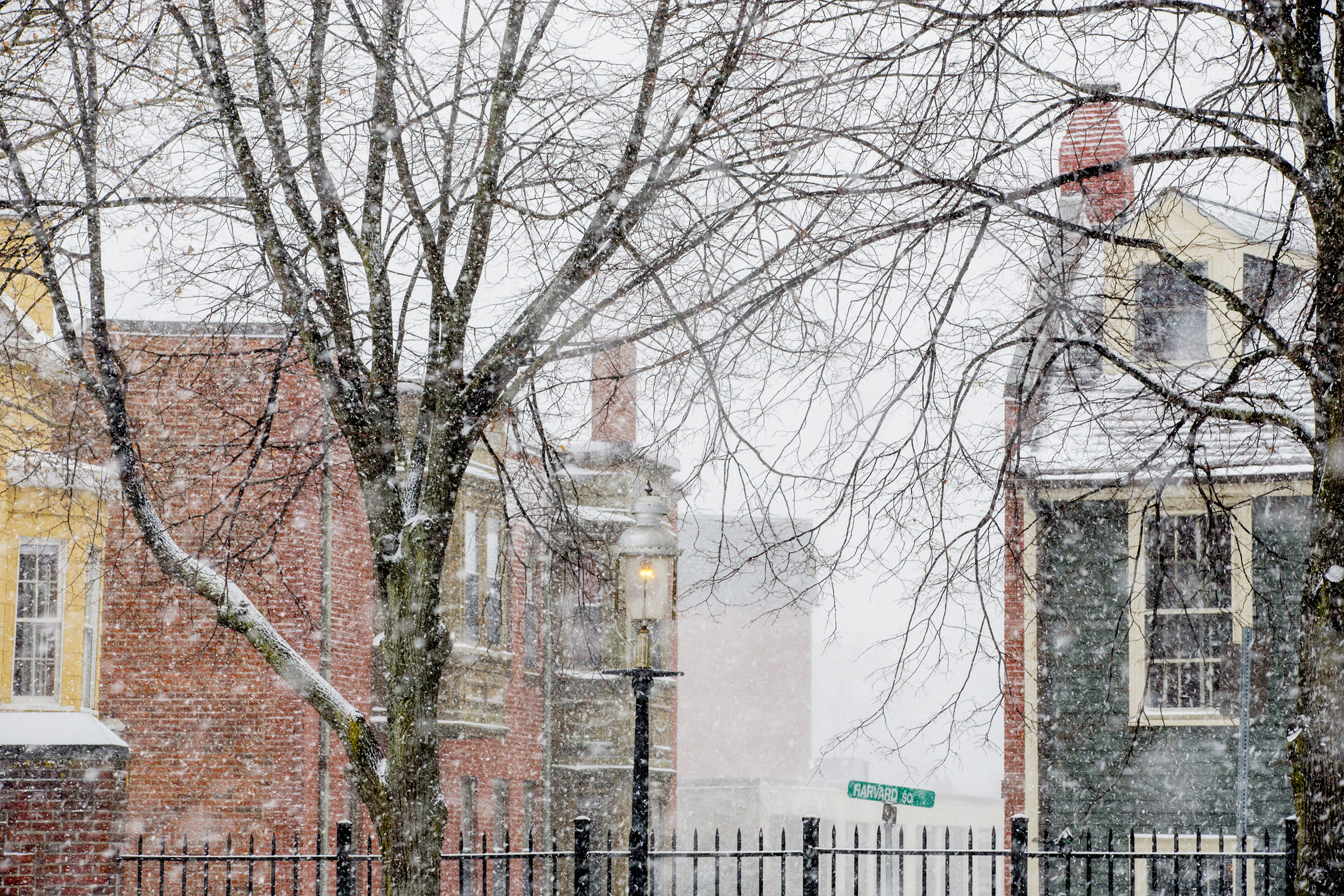 Photos of John Harvard’s Charlestown in winter — Harvard Gazette