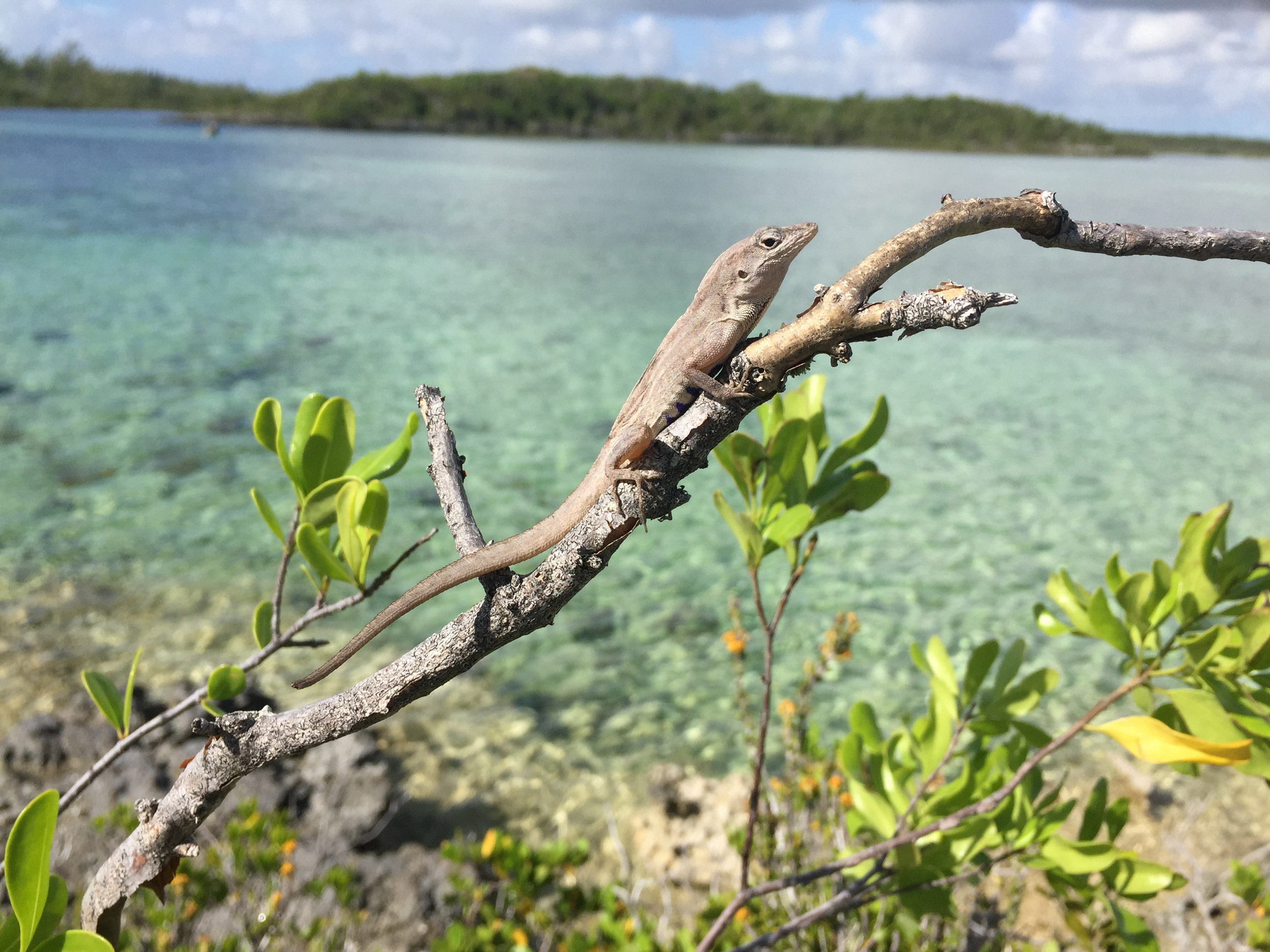 Harvard research probes links between natural selection, behavior ...