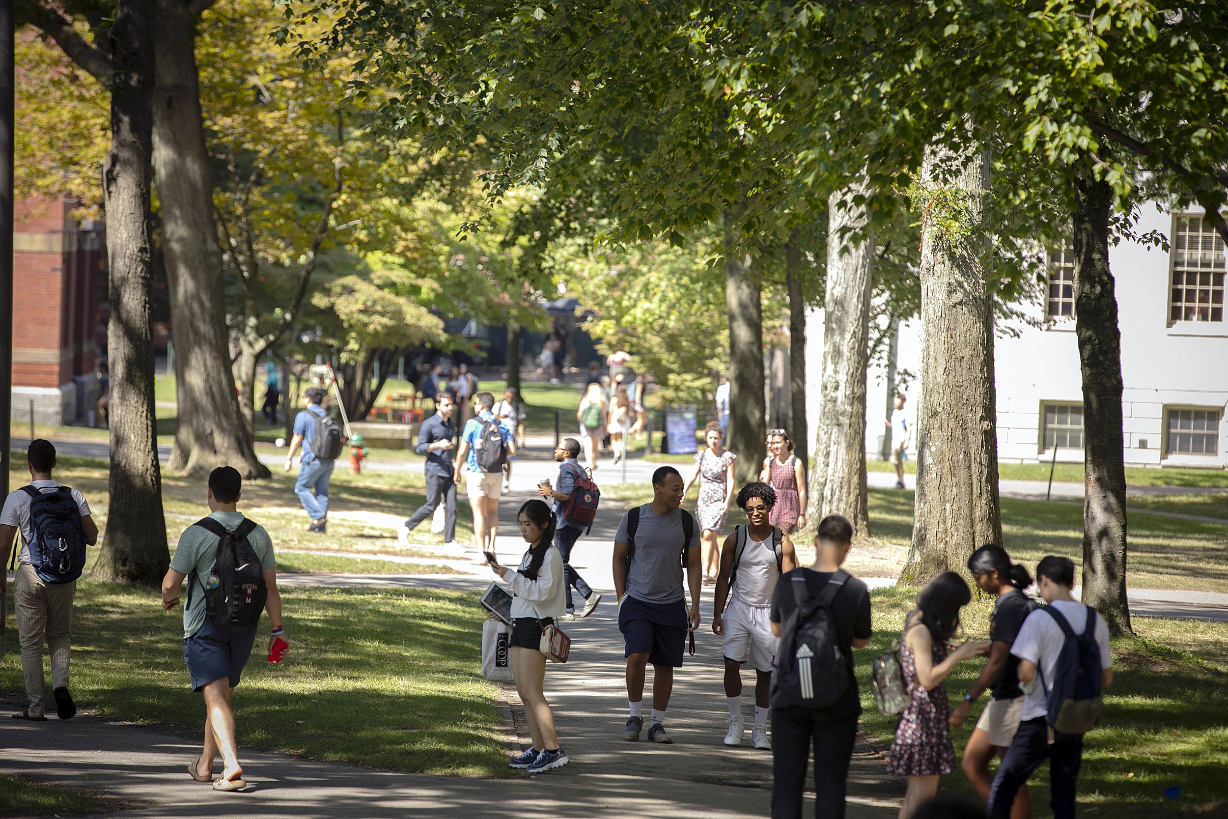 First Harvard-wide survey on inclusion and belonging begins — Harvard ...