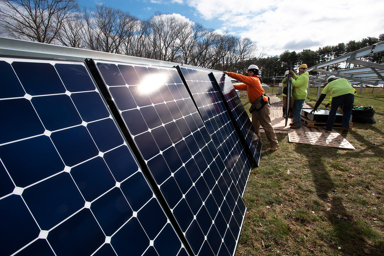 Arboretum gets solar boost with massive Harvard sustainability ...