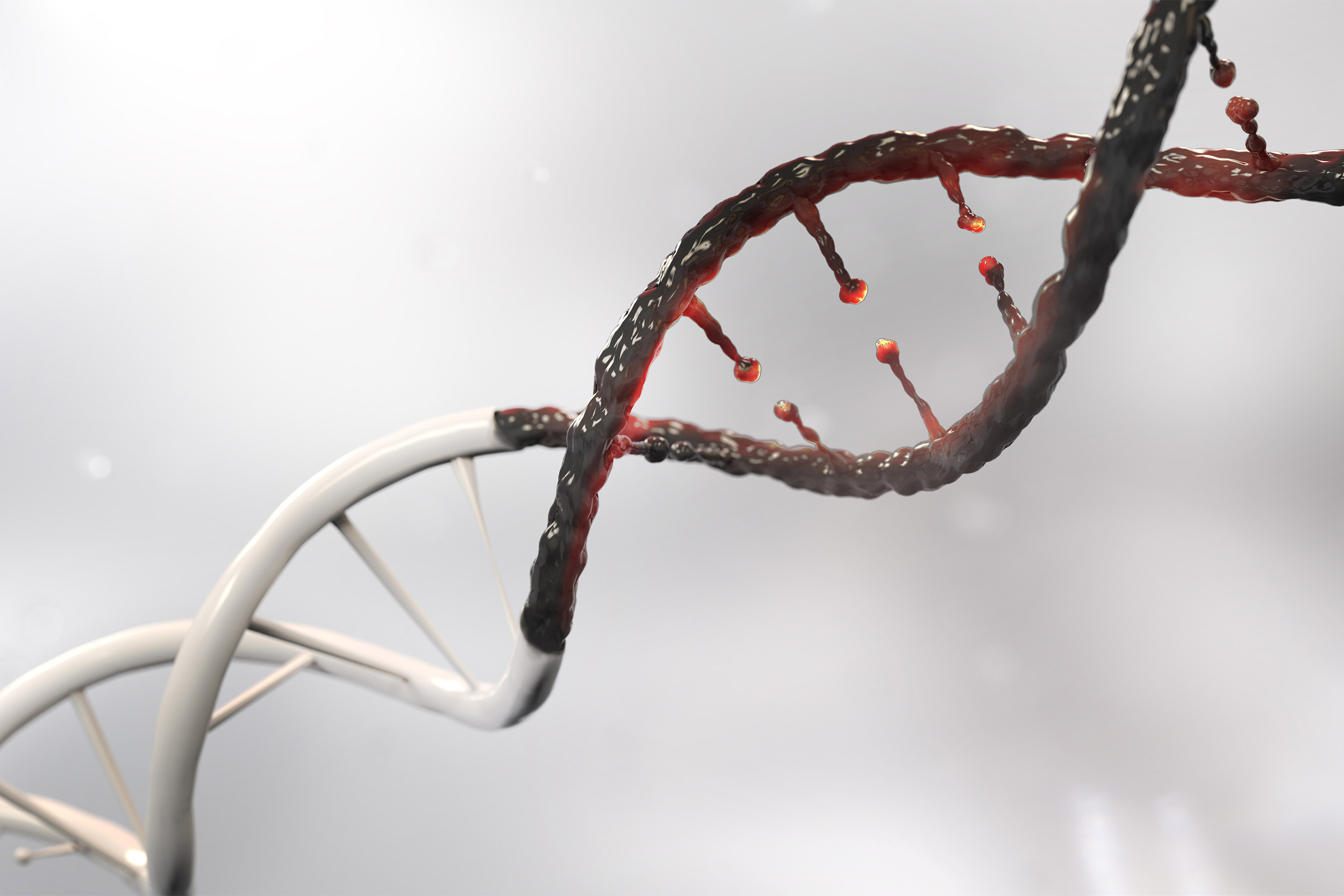 HMS researchers design algorithm that ID’s DNA defects, making more ...