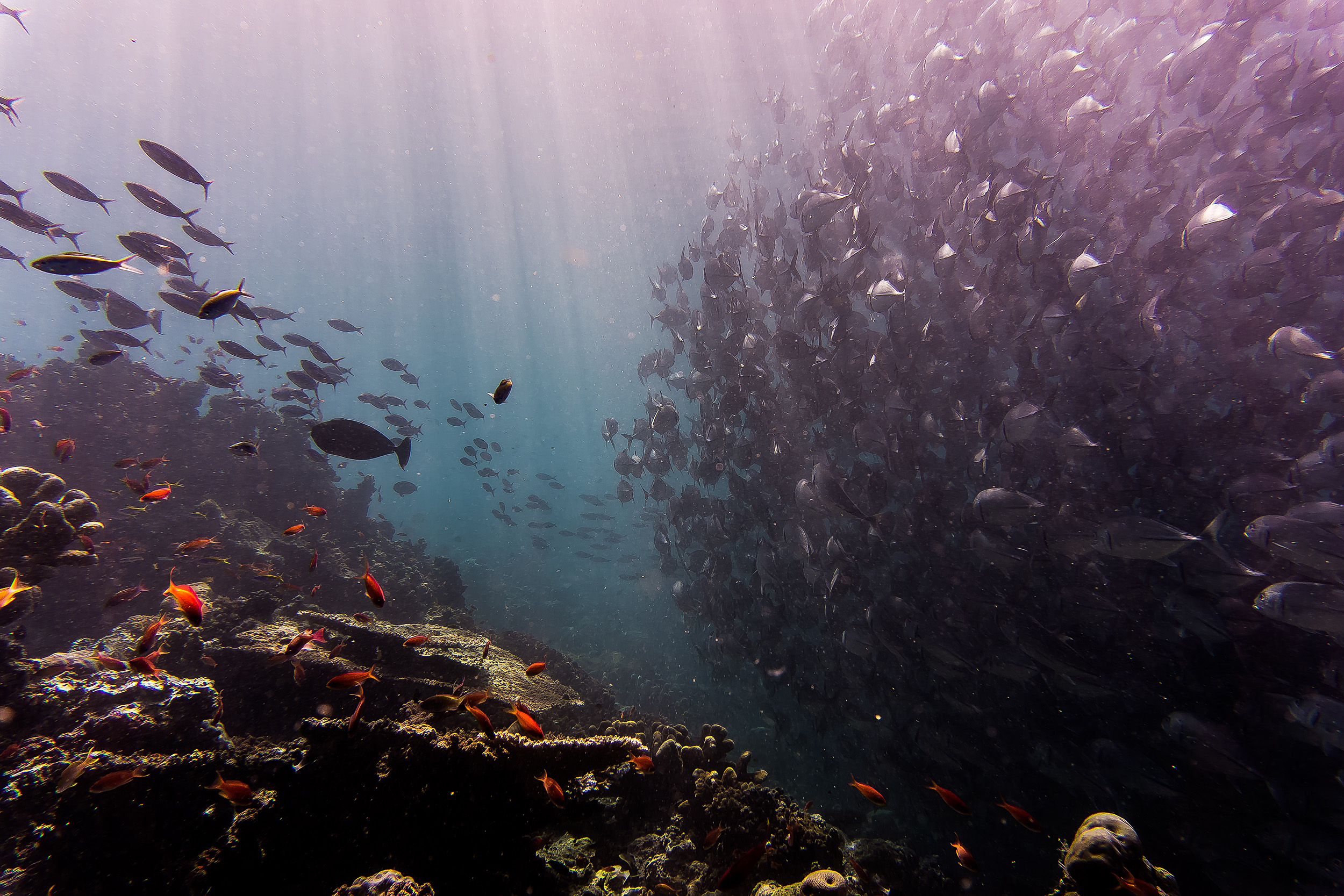 New NASA program studies sea and sky to better understand ocean worlds ...