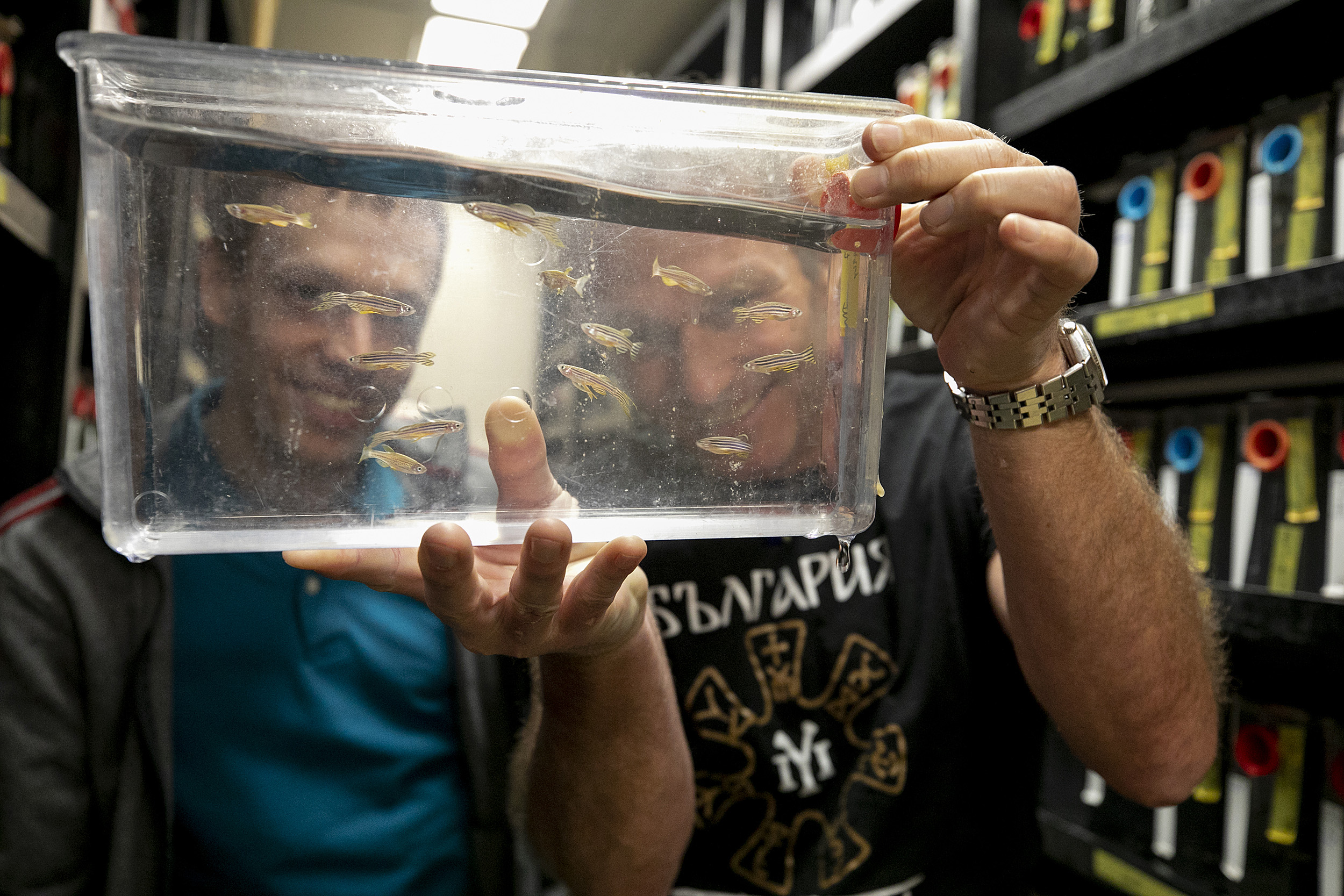 Harvard study: Artificial neural networks could be used to provide ...