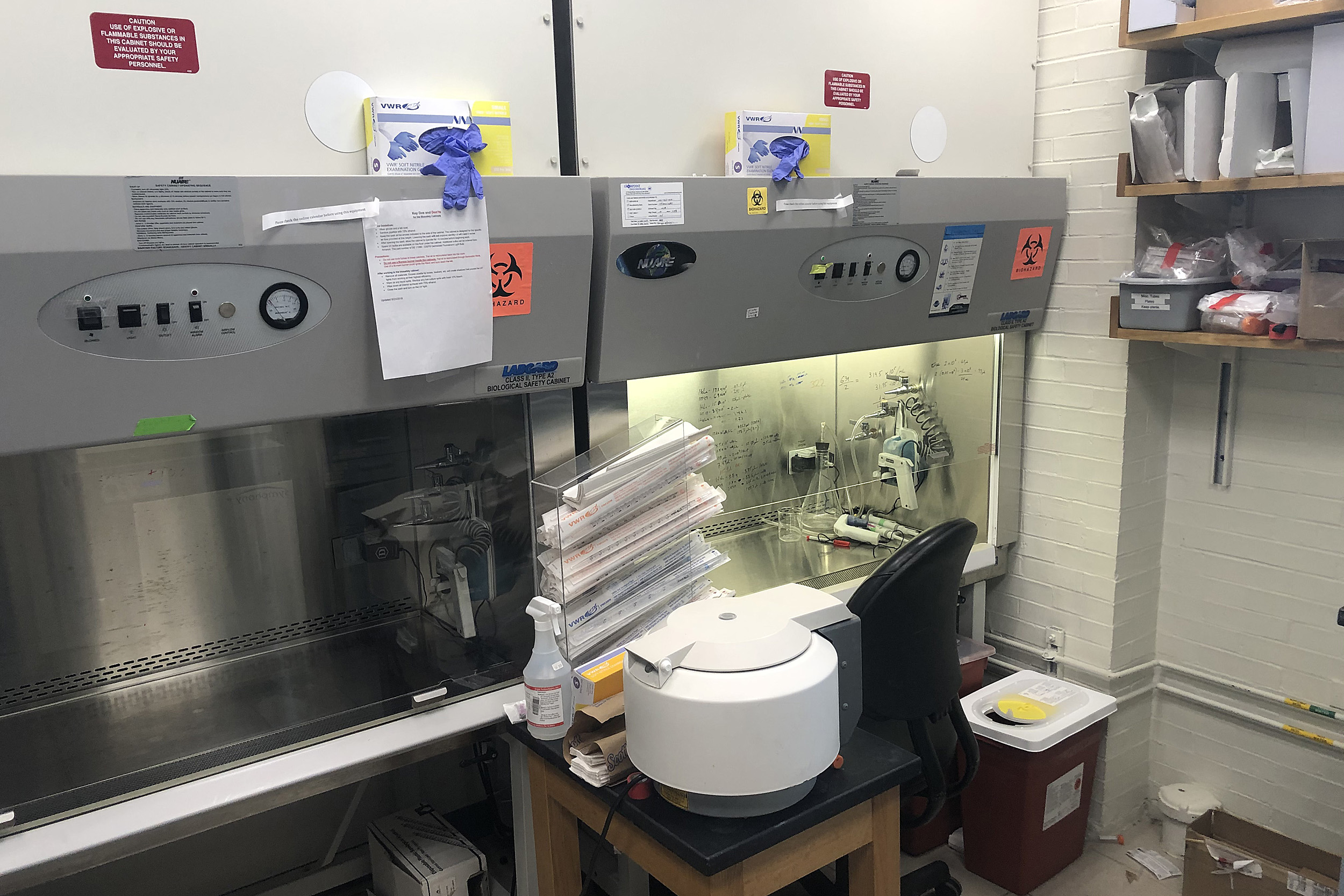 Much of Harvard research scales down for safety — Harvard Gazette