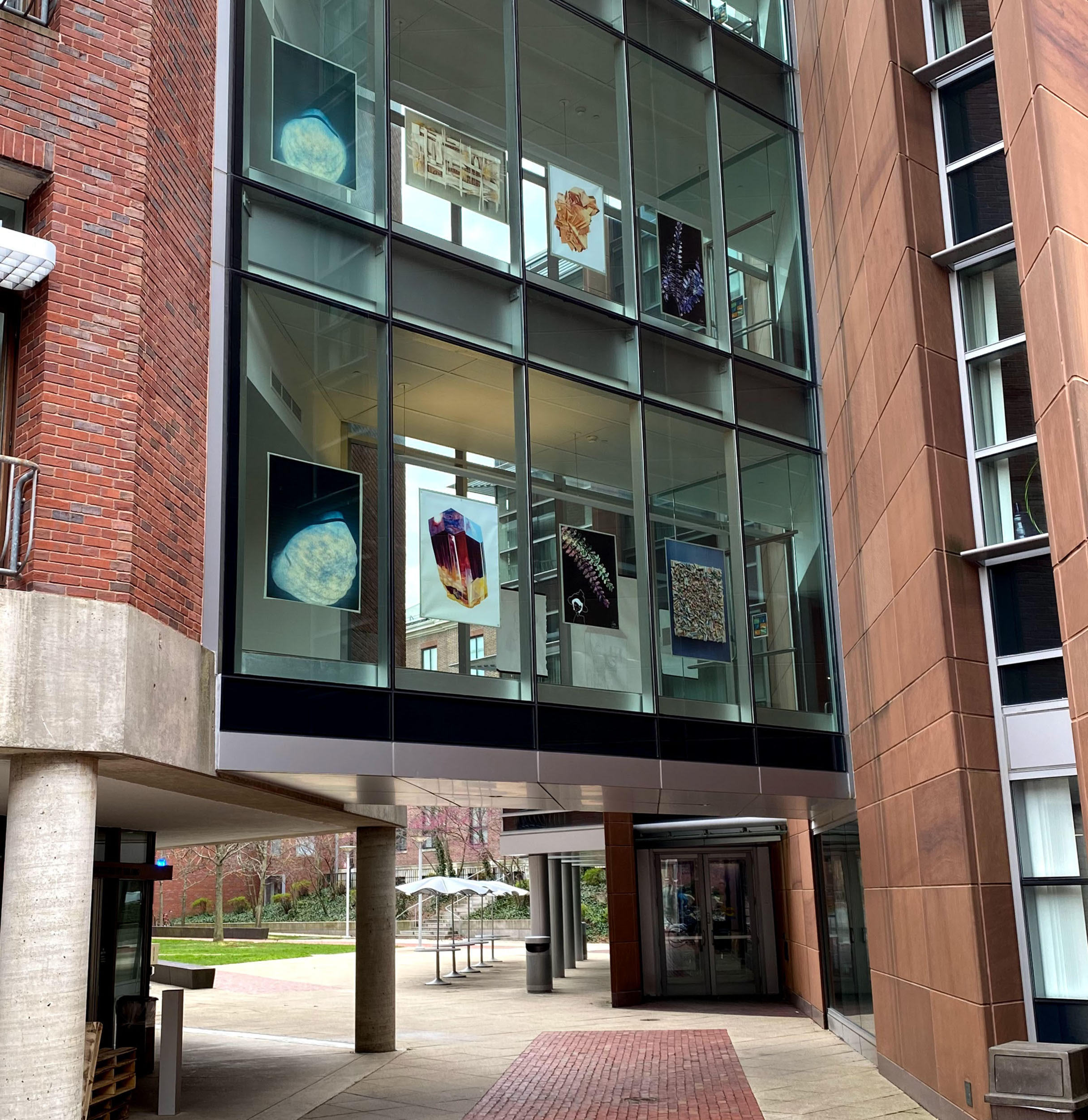 Windows of Harvard frame new art exhibition — Harvard Gazette