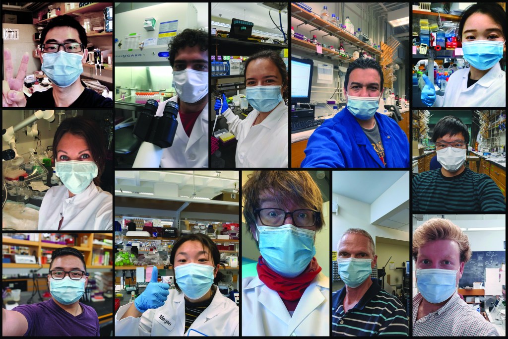Harvard restarts scientific research — Harvard Gazette