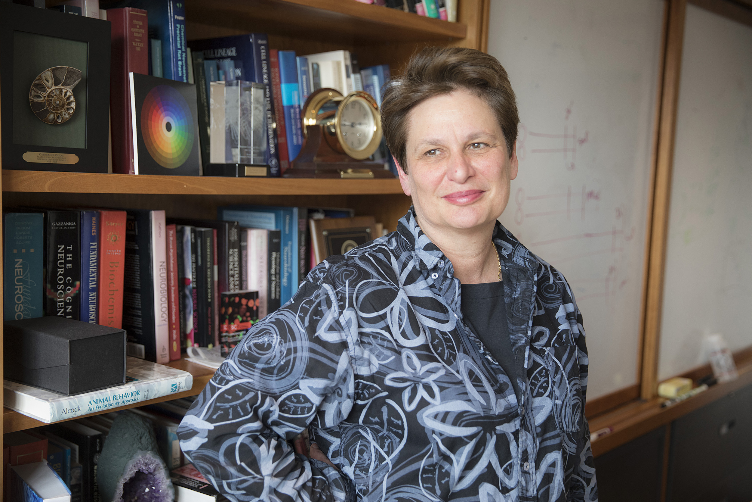 Catherine Dulac rewarded for study of parenting behavior — Harvard Gazette