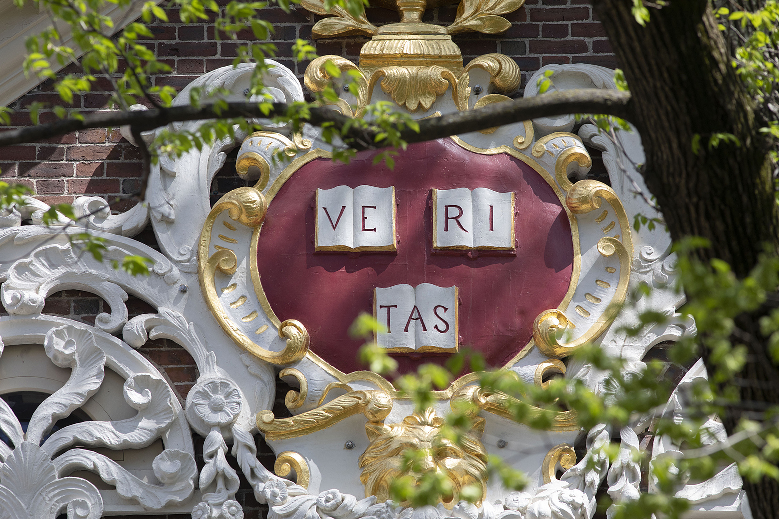 Seven faculty members named British Academy Fellows — Harvard Gazette