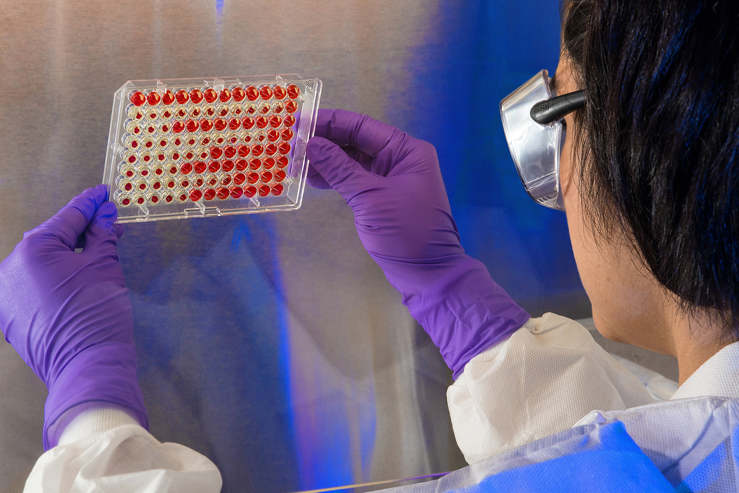 Harvard a partner in national effort to diversify STEM and academia ...