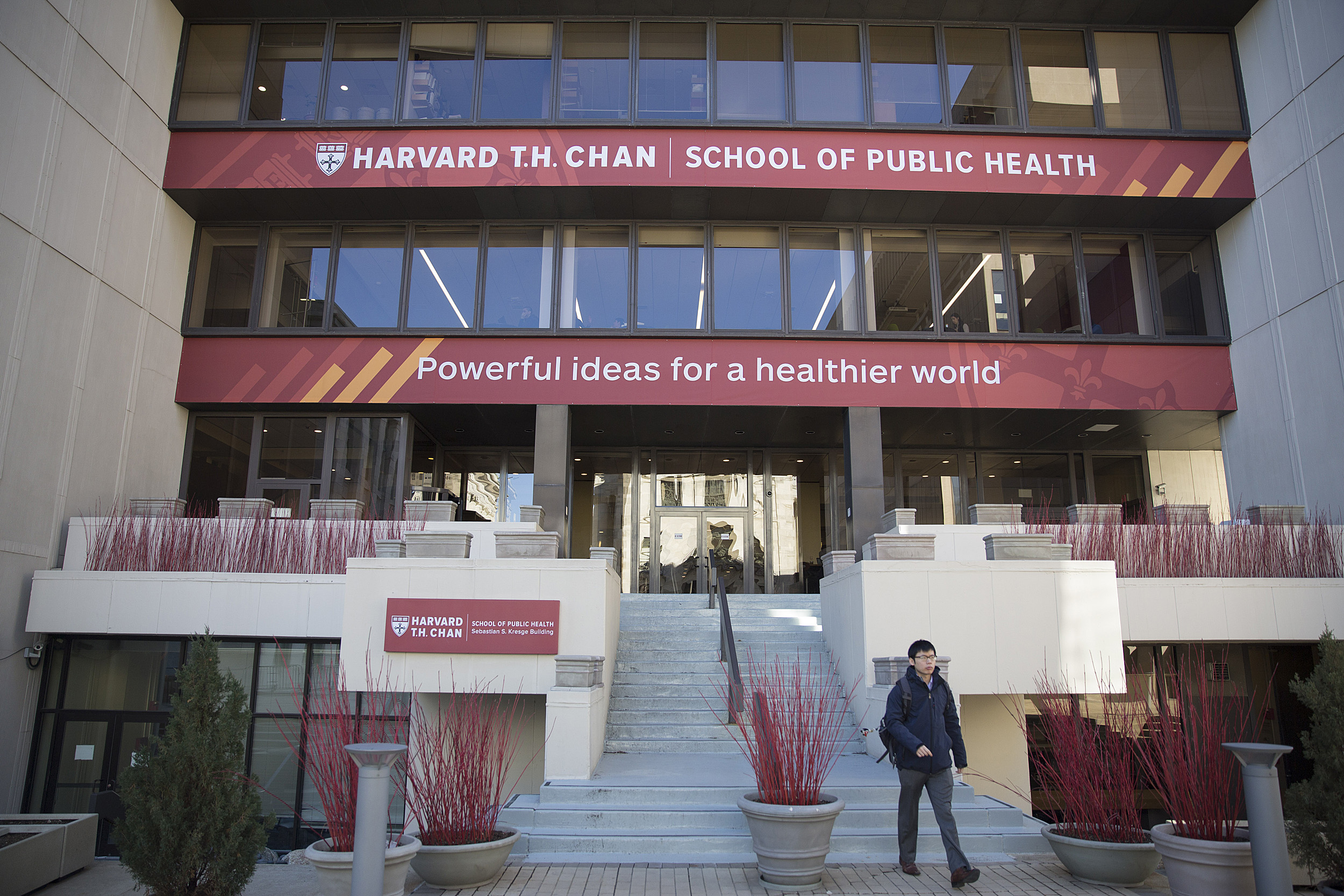 Harvard Chan School program combines health with business — Harvard Gazette