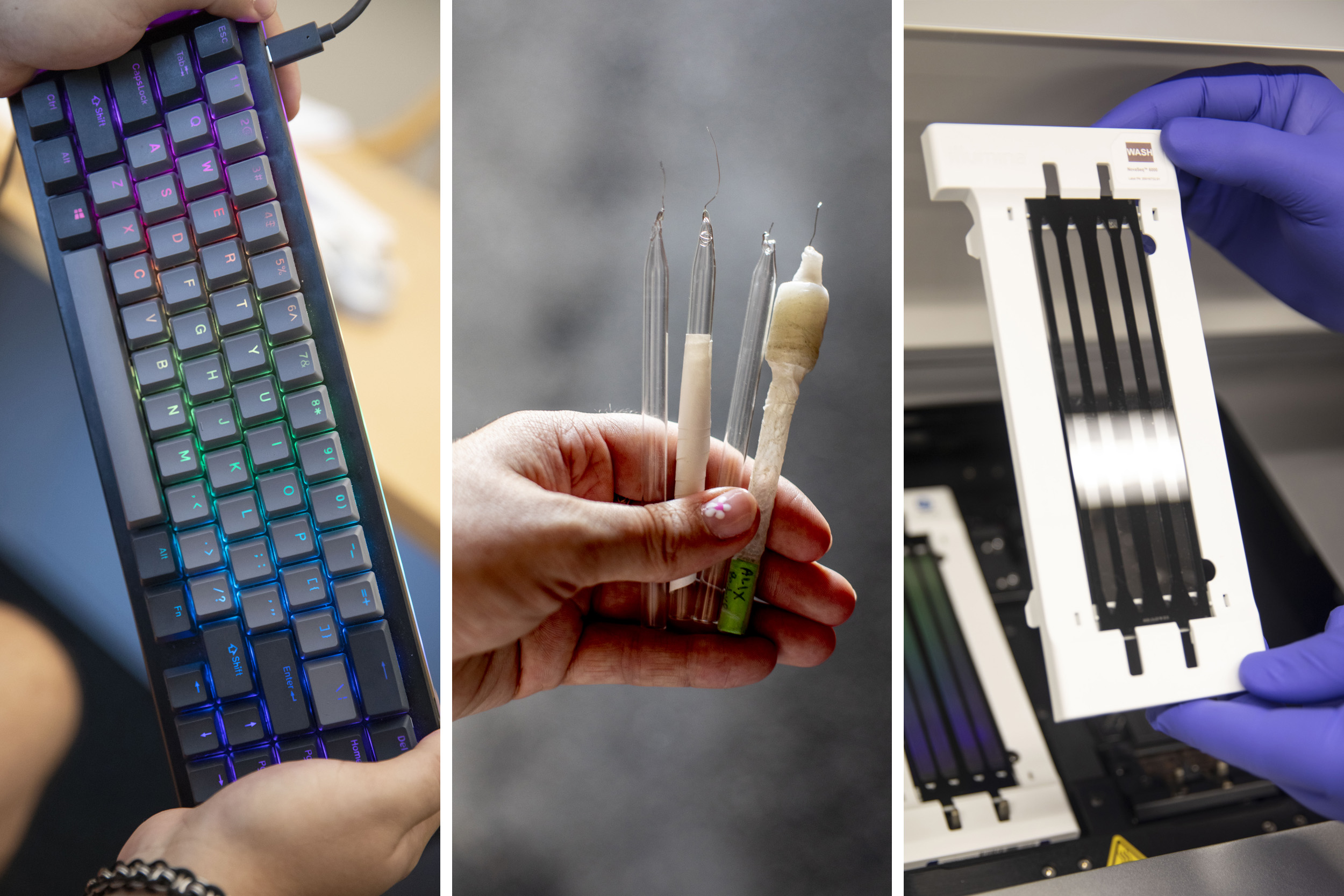 Researchers share their most essential lab equipment — Harvard Gazette