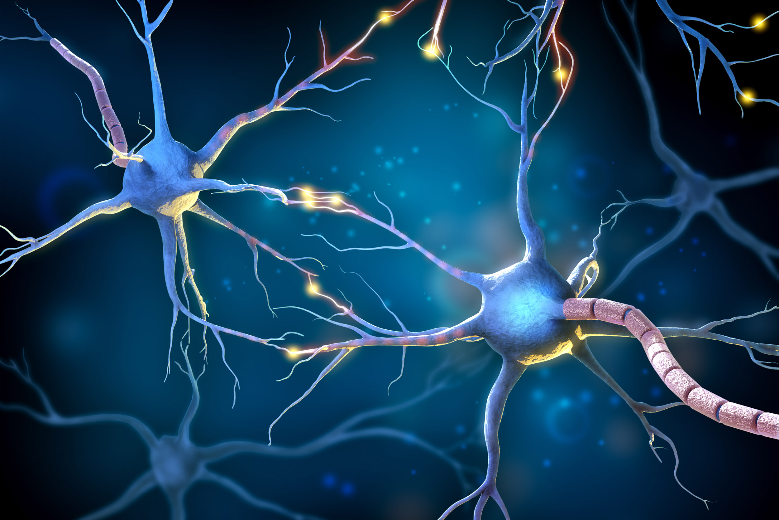 A tour of the brain’s life span, complete with upside-down vision ...