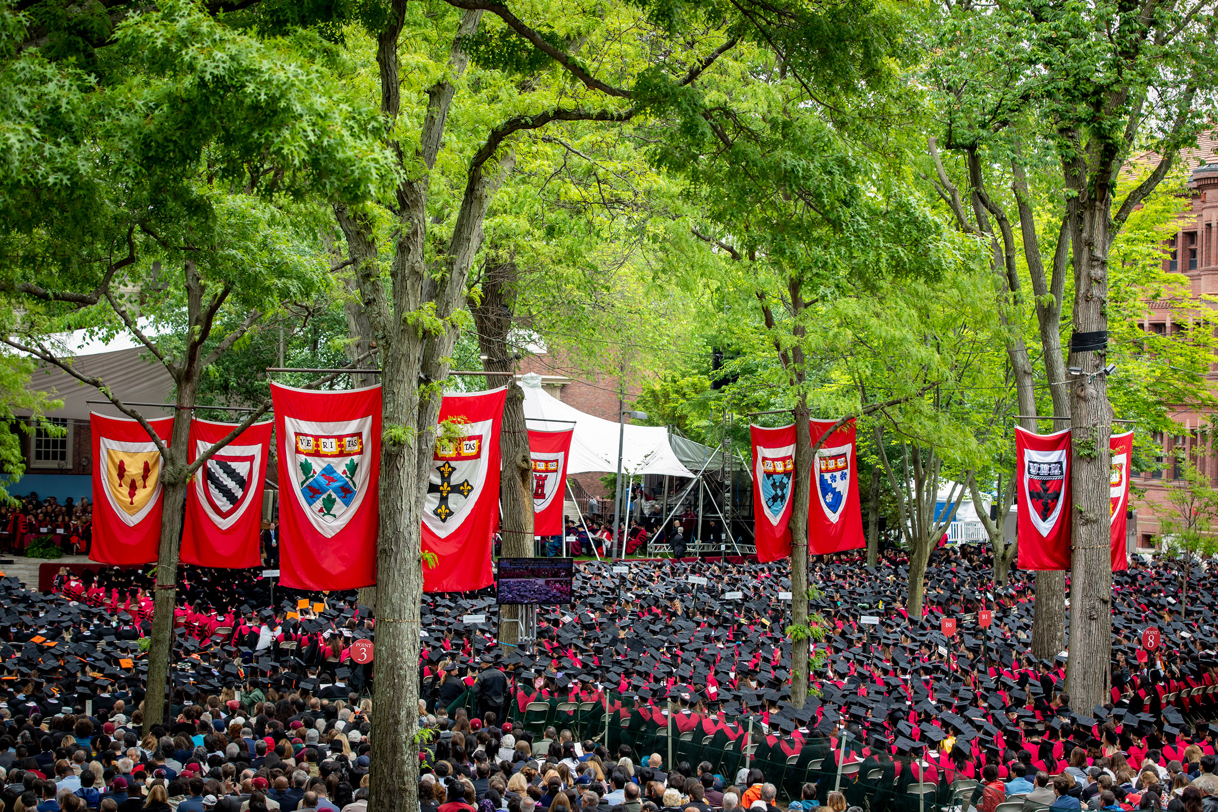Class of 2023 orators selected in campus-wide competition — Harvard Gazette