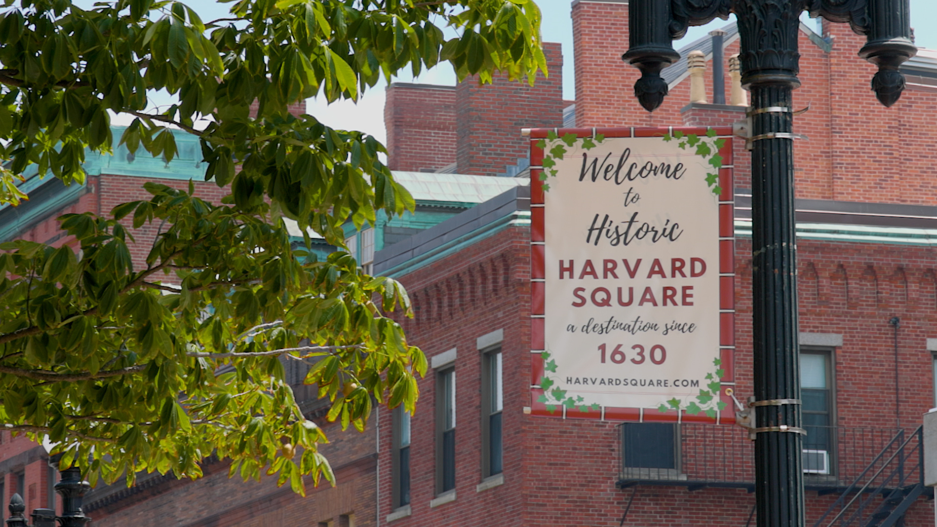 Walk through Harvard Square with 'Love Story' author — Harvard Gazette