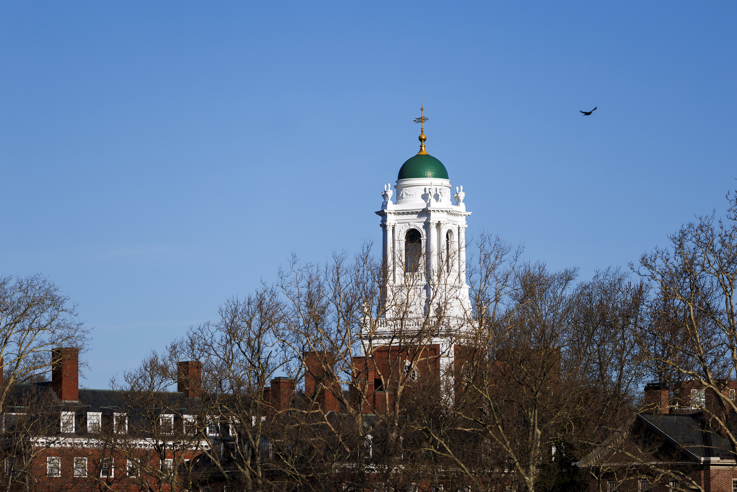 Hasty Pudding Club Forms at Harvard: September 8, 1795 — Harvard Gazette
